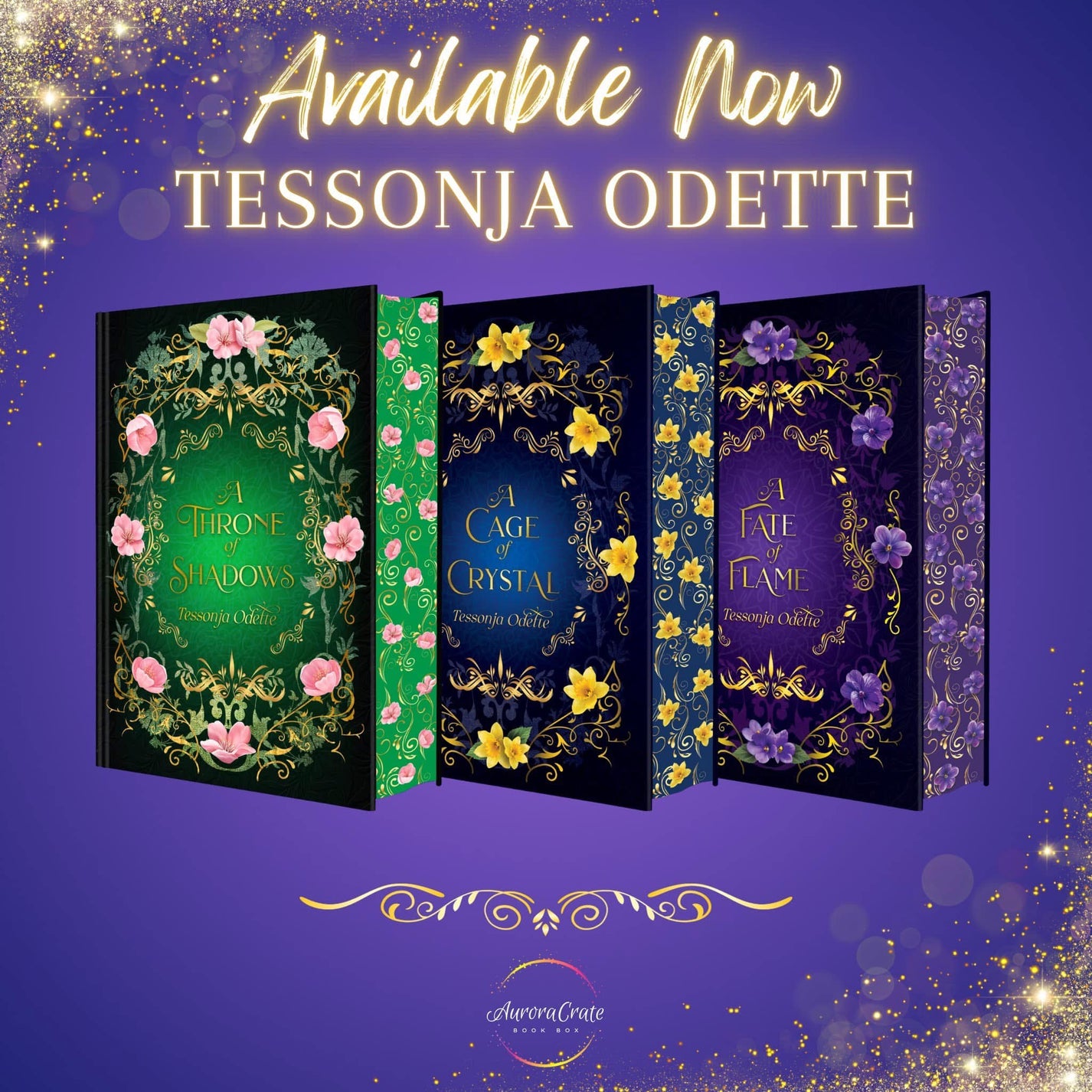 Tessonja Odette Trilogy Set – Aurora Crate Book Box